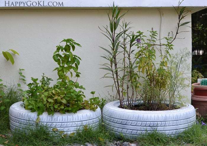 Tyres And Plants - Happy Go KL