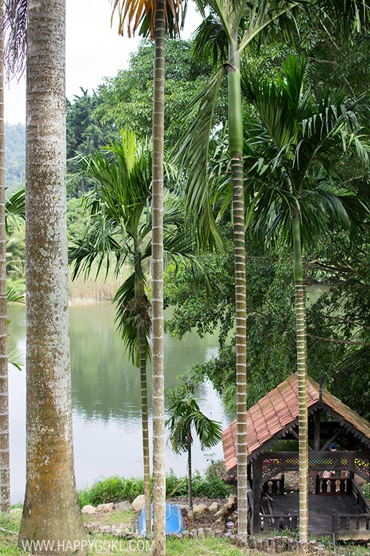 Sunday Afternoon High Tea At Mari House - Happy Go KL