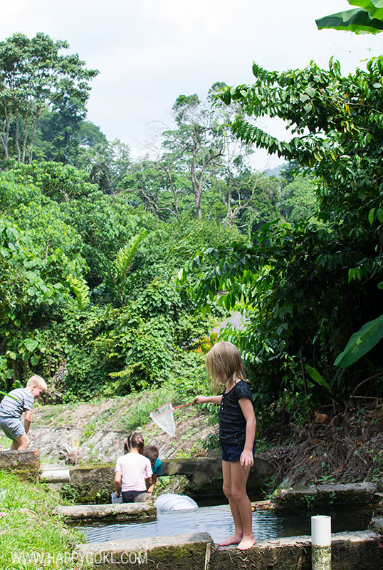 Sunday Afternoon High Tea At Mari House - Happy Go KL