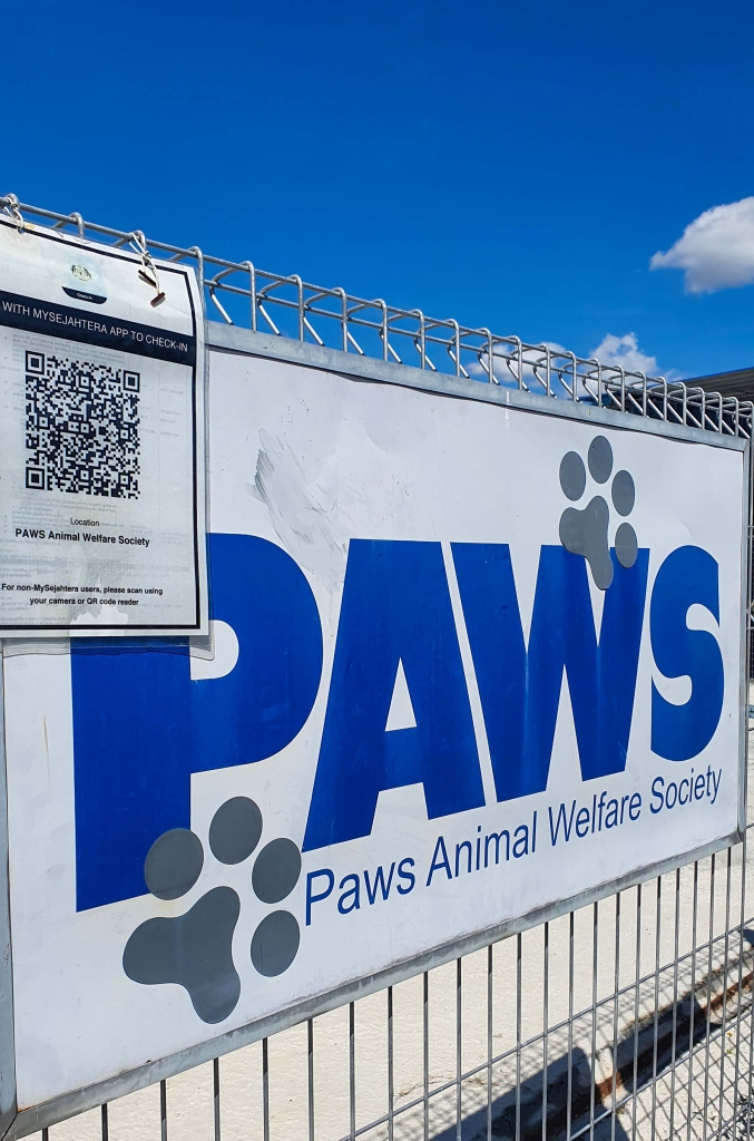 PAWS - Let’s Help Animals In Need! - Happy Go KL