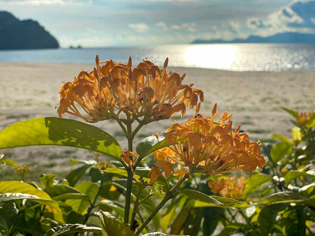 Tanjung Rhu Resort On Langkawi: A Relaxing Paradise - Happy Go KL