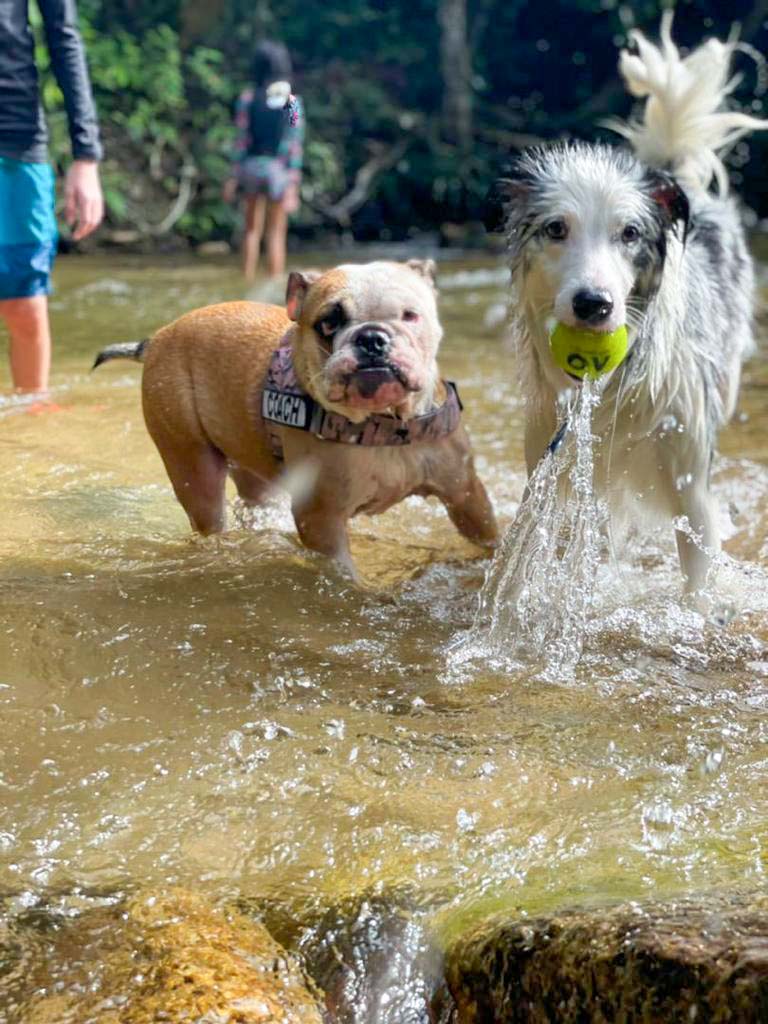 A Waterfall Hike: Batang Kali - Happy Go KL