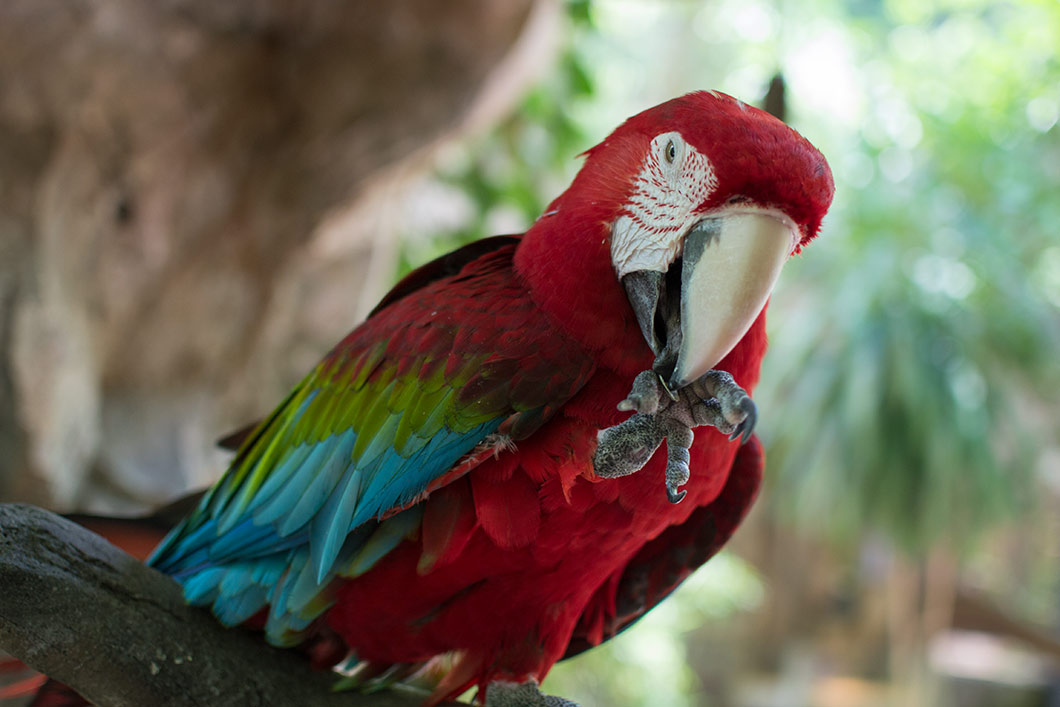 A Guide To Ampang For Families - Happy Go KL