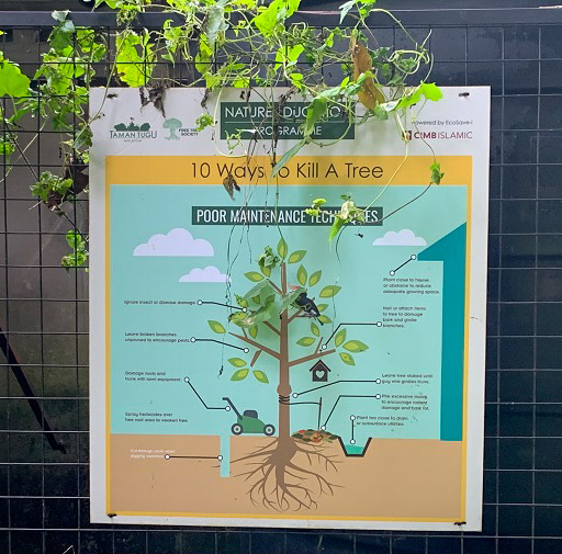 Release Your Nature Beast With The Free Tree Society - Happy Go KL