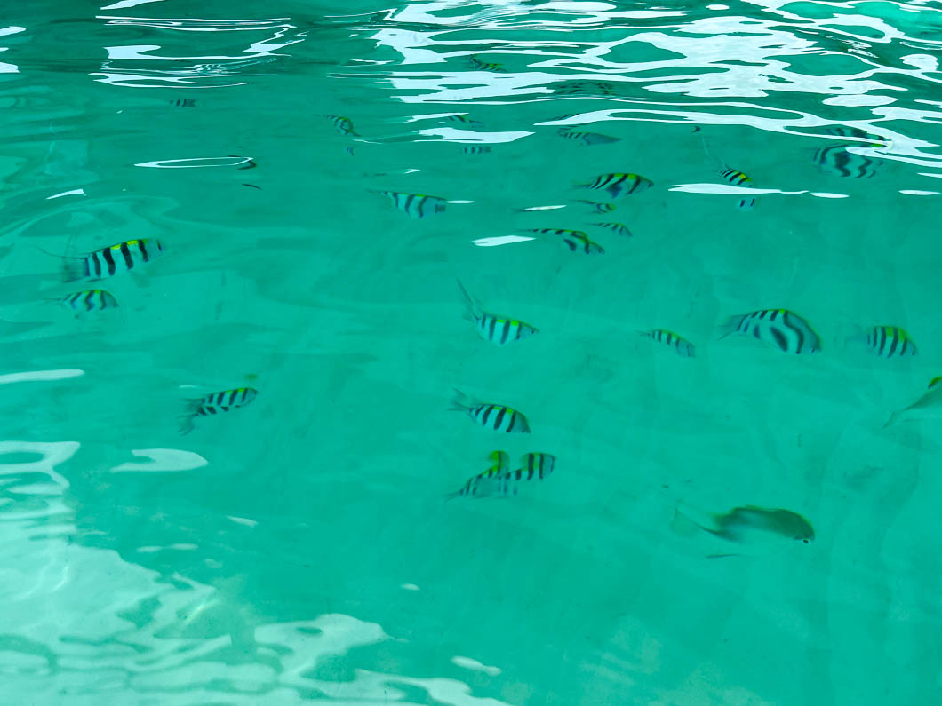 A Family Escape To Coral View Island Resort - Happy Go KL