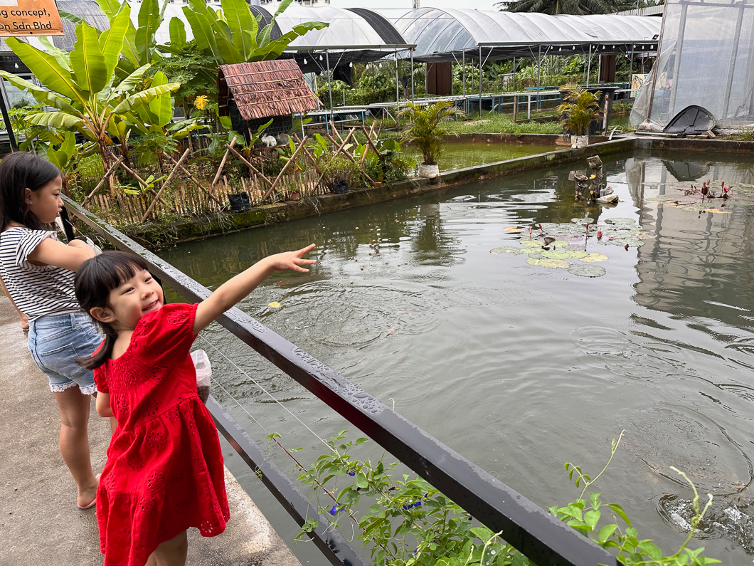 Prawning At Utama Farm: Of Patience, Skills And Luck - Happy Go KL