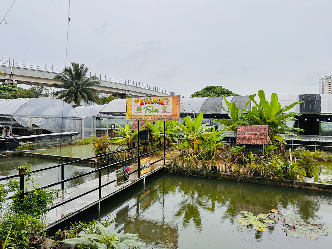 Prawning At Utama Farm: Of Patience, Skills And Luck - Happy Go KL